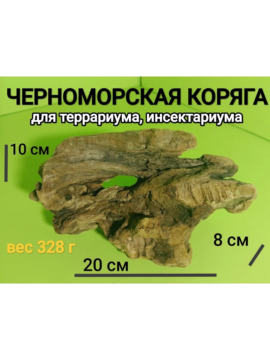 Коряга Черноморская для террариума, инсектариума