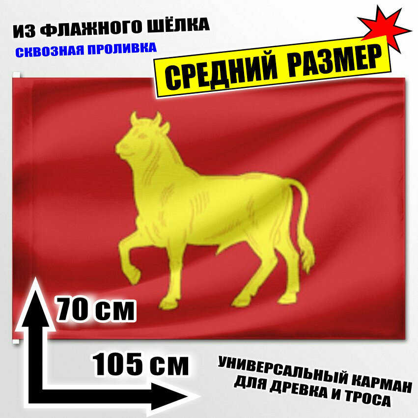 Флаг средний Куйбышева 105x70 см