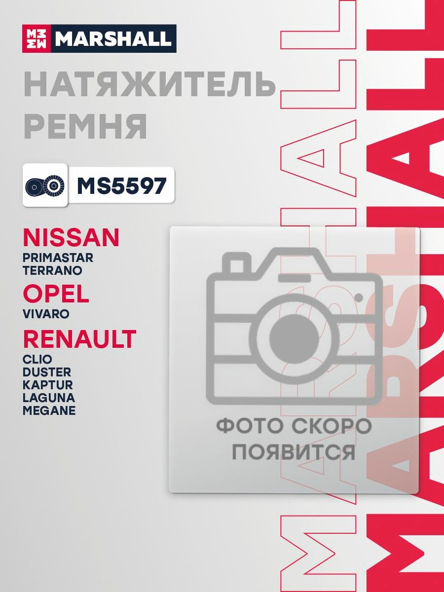 Натяжитель ремня Nissan Ниссан PRIMASTAR, Terrano Террано, Opel Опель VIVARO, Renault Рено Clio Клио, Duster Дастер, ESPACE, Kaptur Каптур, Laguna Лагуна, Megane Меган, TRAFIC 4409959