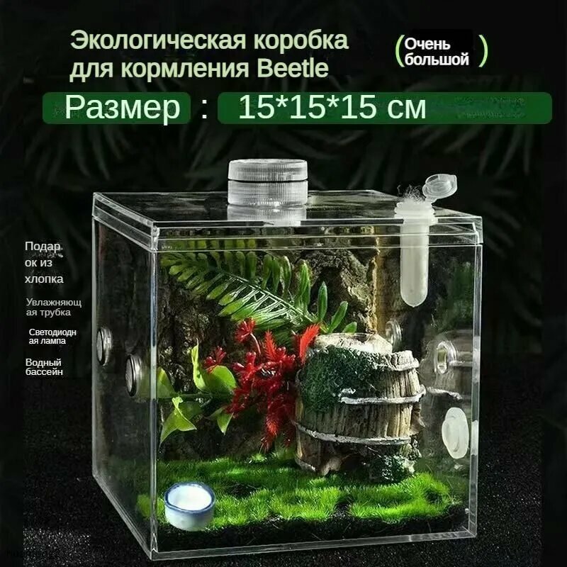 Террариум для пауков с щипцами-капельницами, клетка для улиток, вольер для сверчков, среда обитания древесных тарантулов