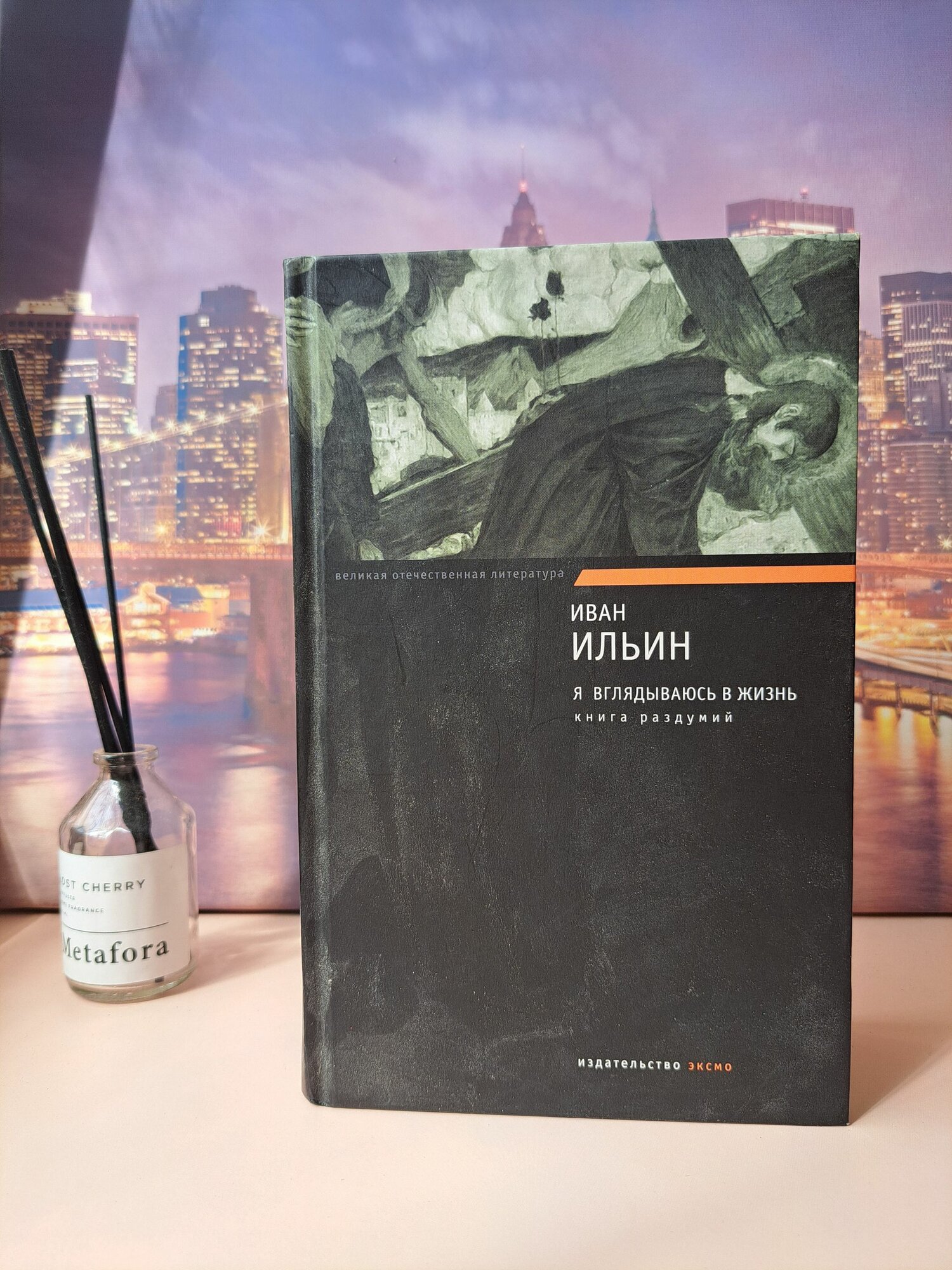 Я вглядываюсь в жизнь. Книга раздумий: Иван Ильин