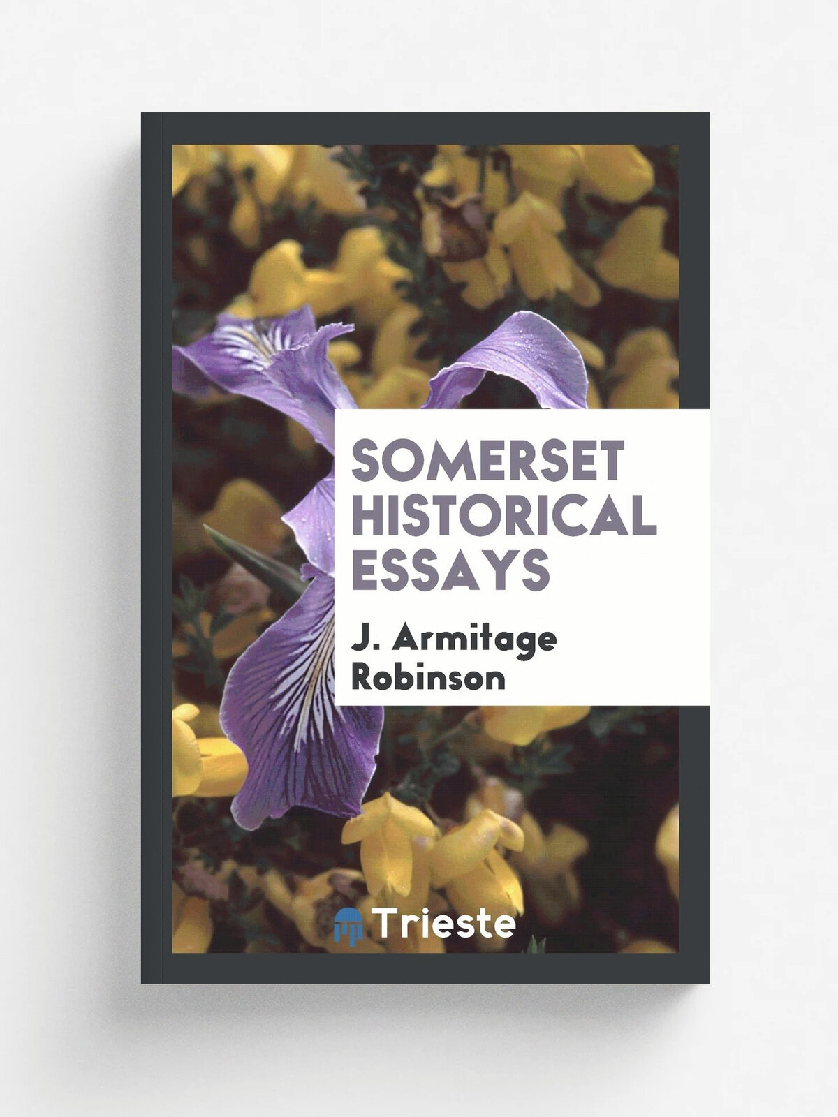 Somerset historical essays