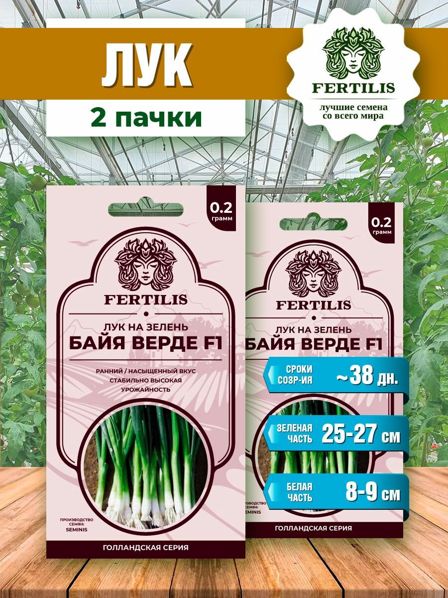 Семена лука на зелень Байя Верде F1 (2 пачки)