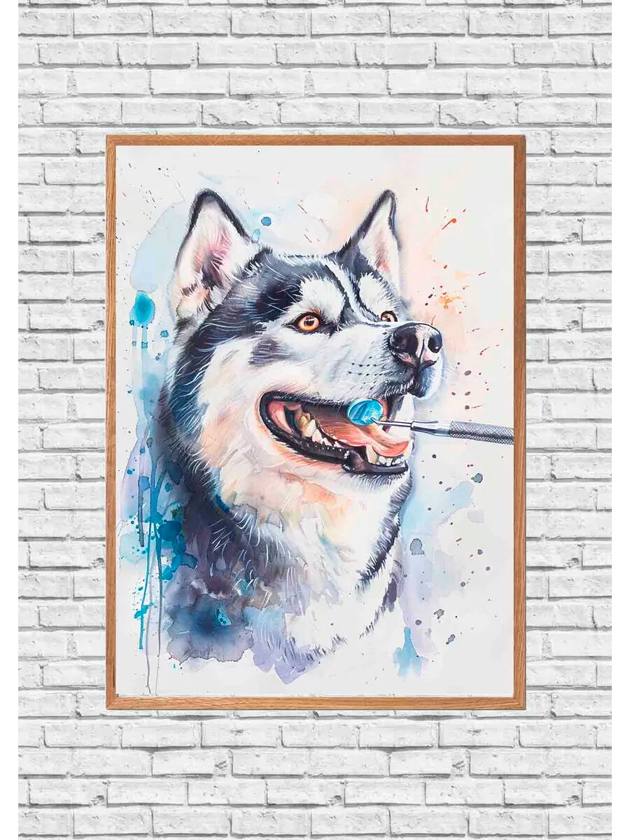 Сибирский хаски- собачий стоматолог 3, Плакат 30x42см