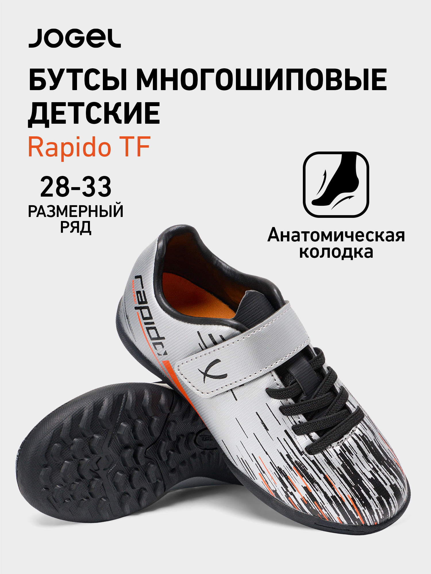 Сороконожки