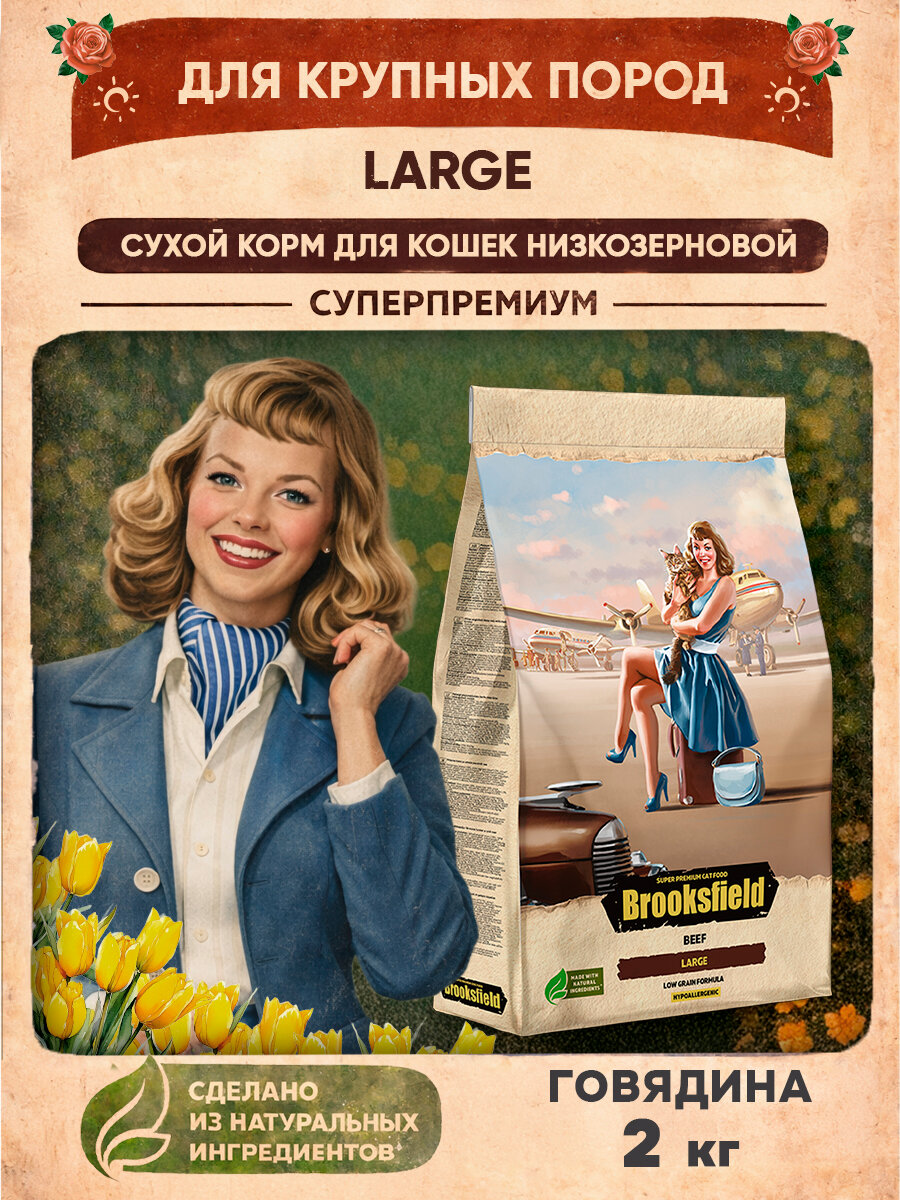 Корм сухой для кошек крупных пород, гипоаллергенный 2 кг BROOKSFIELD (Бруксфилд), Индейка и Говядина