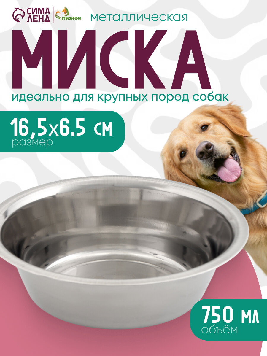 Миска Пижон, стандартная, нержавеющая сталь, круглая, 750 мл, серебристый