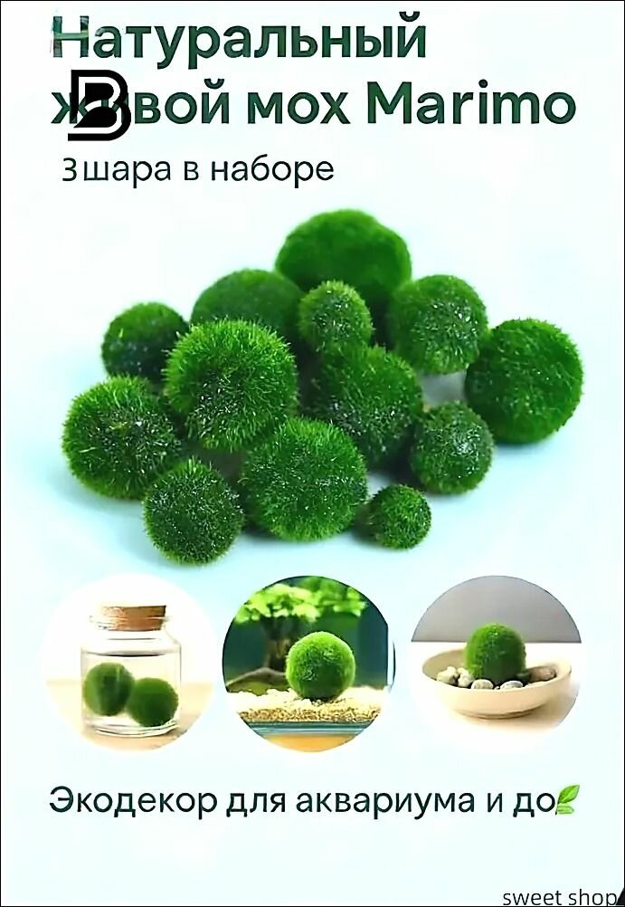 Шаровидная кладофора (мох маримо) 1см 3шт для аквариума и декора
