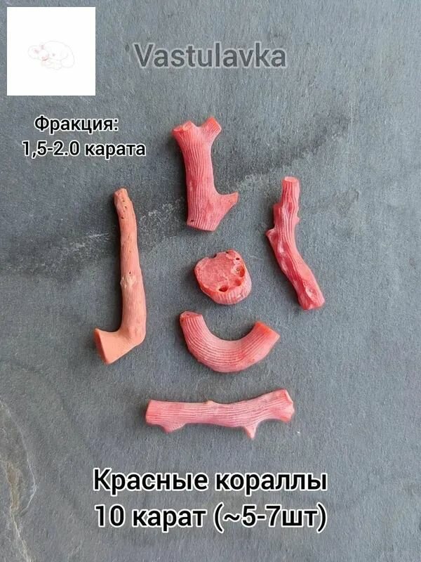 Красные кораллы (10 карат) для Васту