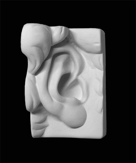 Анатом. деталь Ухо Давида правое, 17 х 26 см, Экорше, артикул 20-203