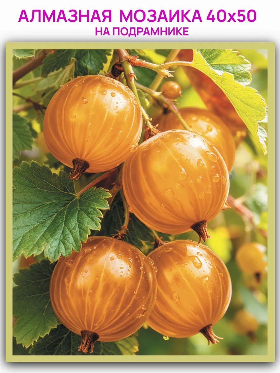 Алмазная мозаика 40х50 на подрамнике Ягоды RWA091