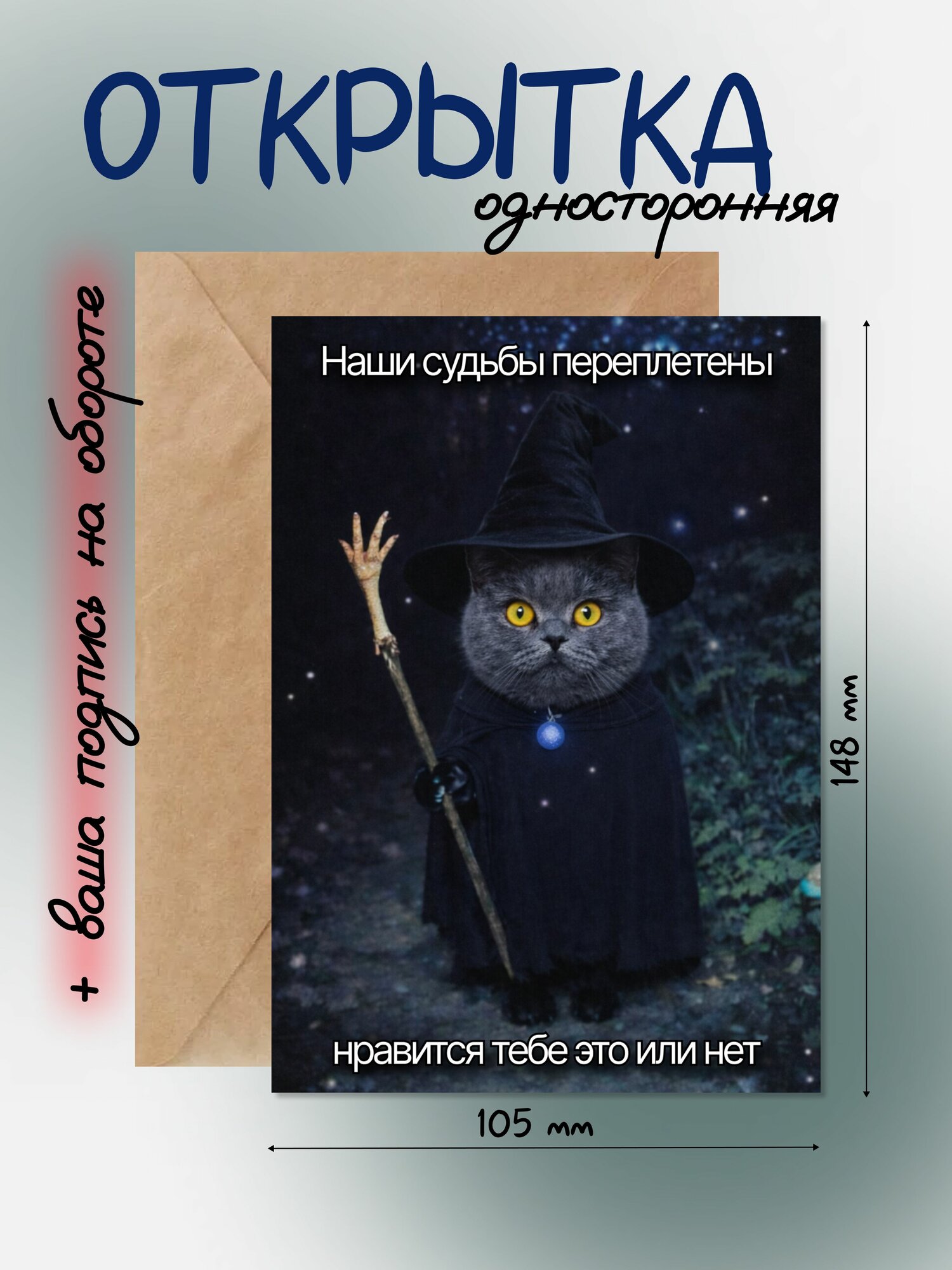 Смешная открытка "Кот пророк" с конвертом 10х15 см / мистика / астрология / мем