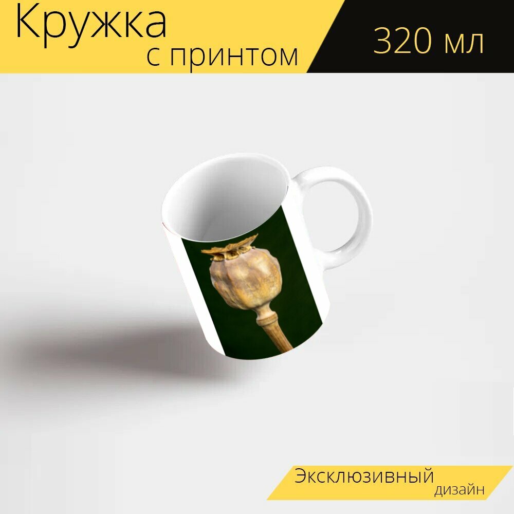 Кружка с рисунком, принтом "Мак, капсулы с маком, сухой" 320 мл.