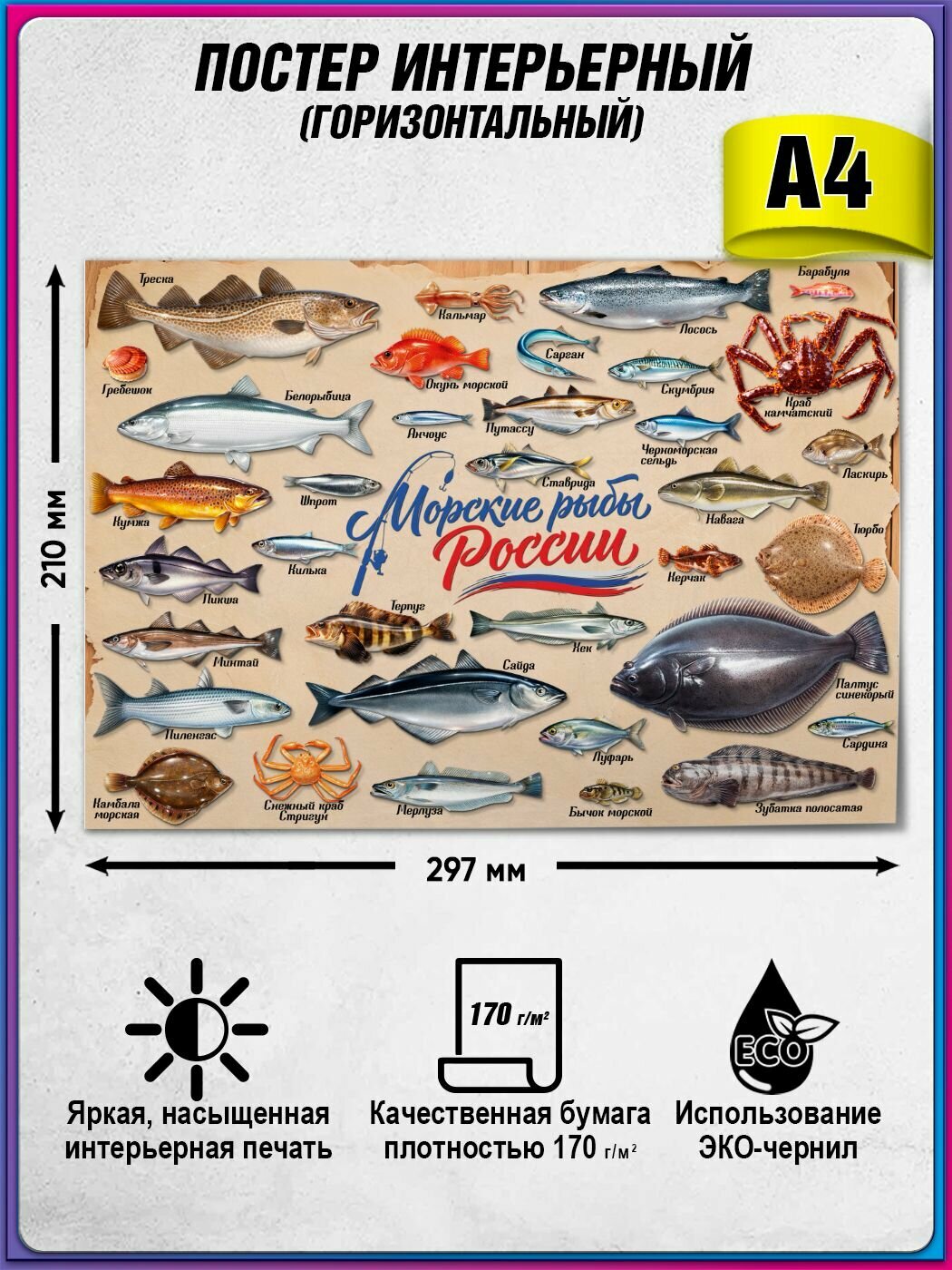 Стенгазета "Морские рыбы", информационная, плакат с разновидностями рыб, подарок на День рыбака / А-4 (21x30 см.)