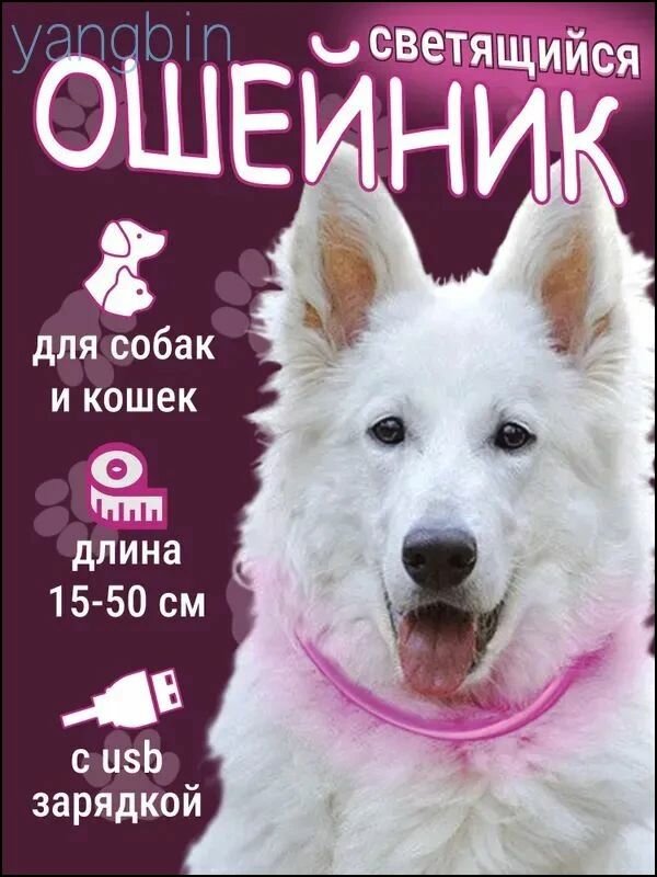 Ошейник светящийся светодиодный для собак и кошек с usb зарядкой, длина 15-50 см.