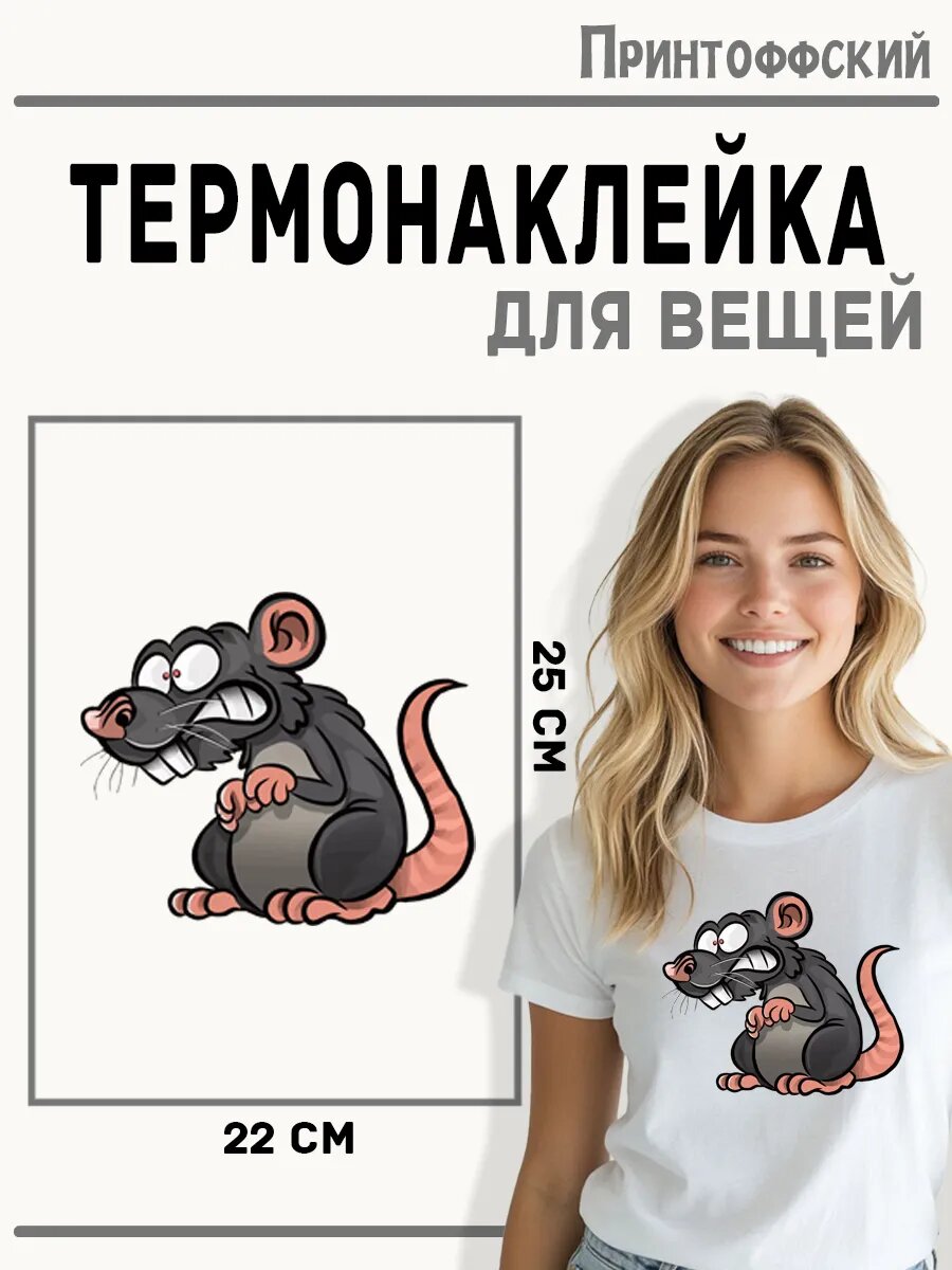 Термонаклейка для одежды и аксессуаров DTF-печать крыса — фото 1