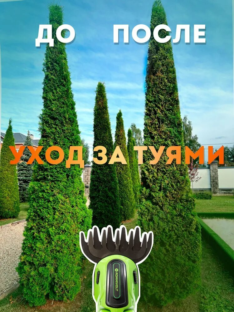 Аккумуляторный кусторез ROMMIVOLT для кустарников, 2 насадки, 2 аккумулятора, ширина обработки 23 см — фото 1