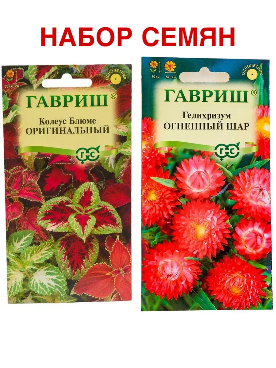 Набор семян Колеус Оригинальный 0.03г и гелихризум Огненный шар 0.1г