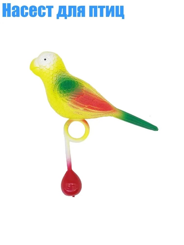 Насест для птиц, - A