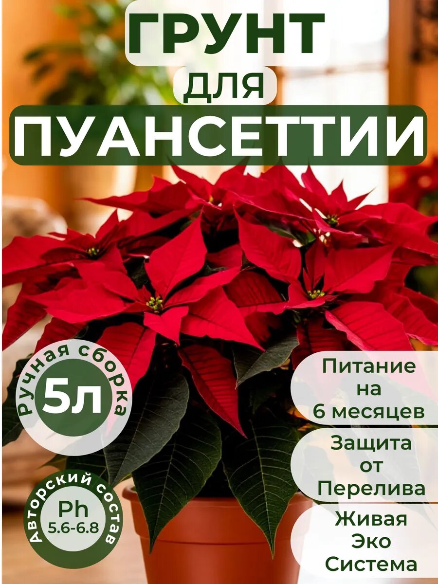 Готовый авторский грунт для Пуансеттии , премиум 5 литров
