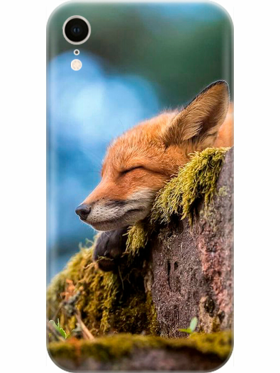 Силиконовый чехол на Apple iPhone XR / Эпл Айфон Икс Эр с рисунком "Умиротворенная лиса"