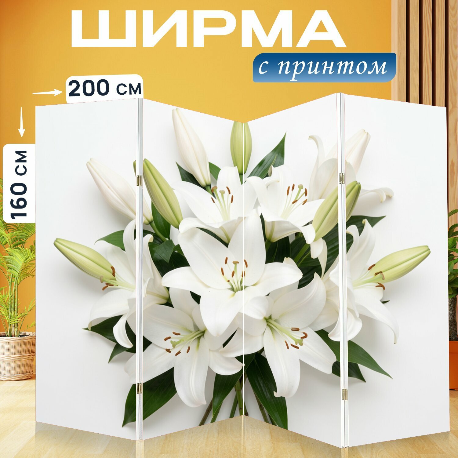 Ширма "Белые лилии с зелеными бутонами. Нежная цветочная композиция из распустившихся лилий и бутонов." перегородка для зонирования комнаты с принтом 200x160 см. на холсте