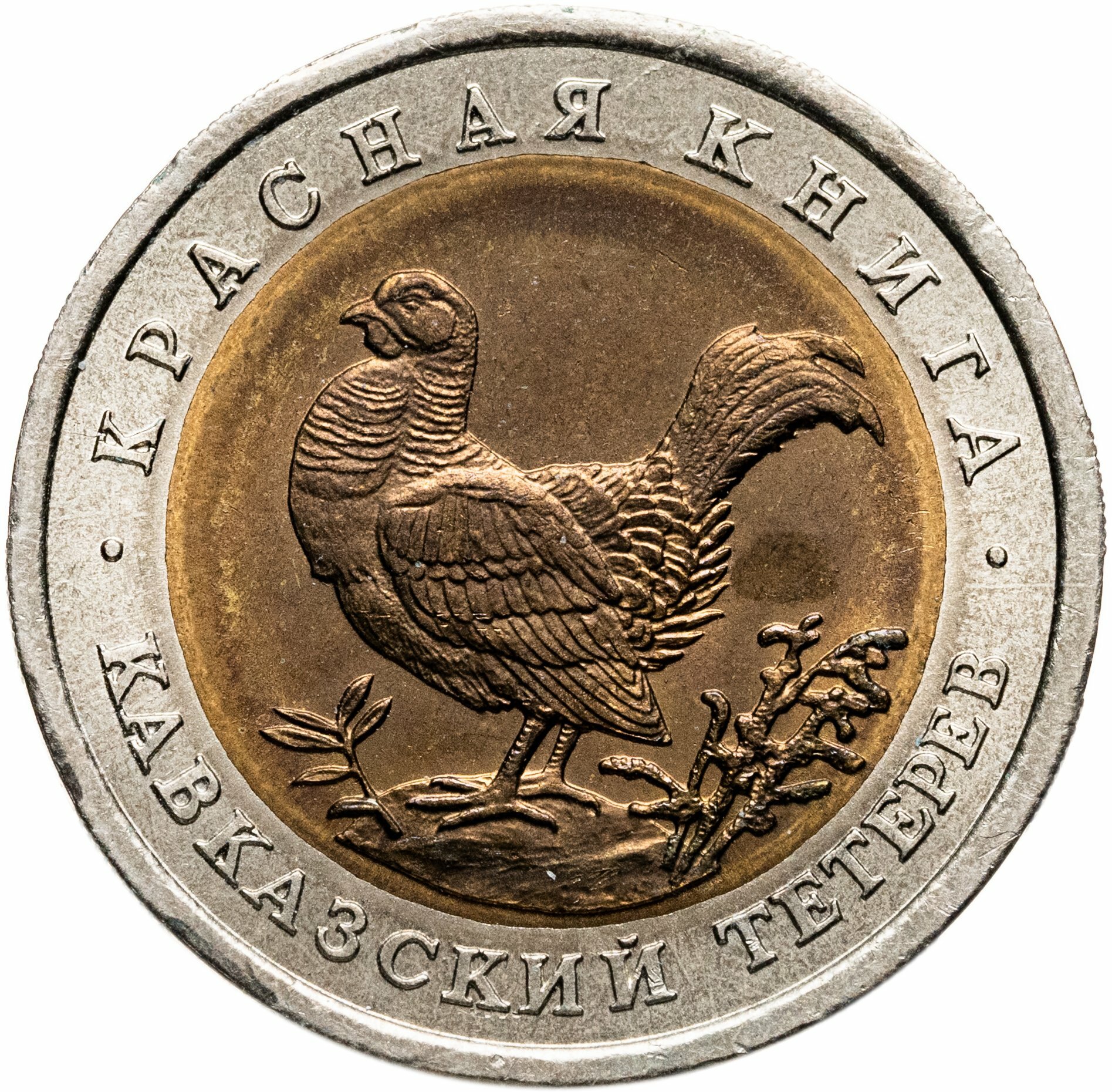 50 рублей 1993 ЛМД кавказский тетерев