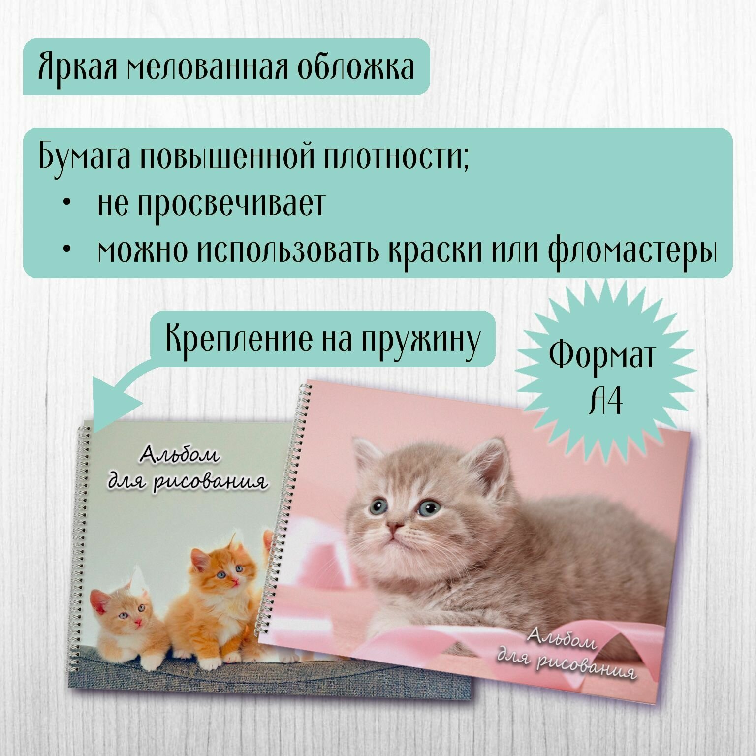 Альбомы для рисования Котики — фото 1