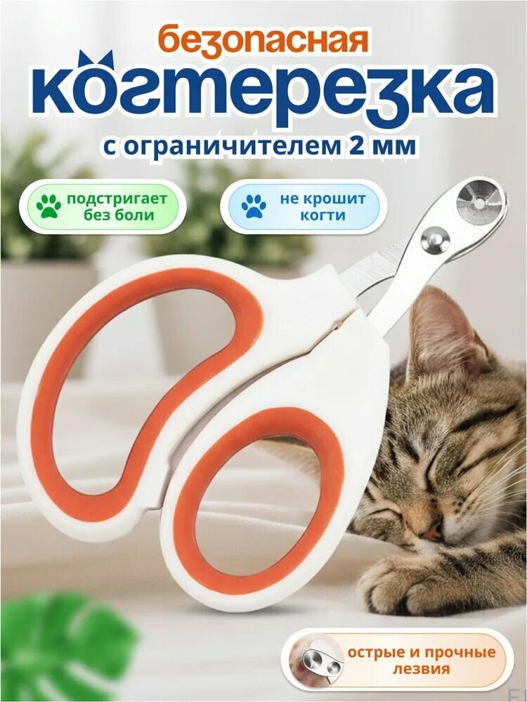 Оранжевые ножницы для кошек, оснащенные ограничителем, качественный когтерез