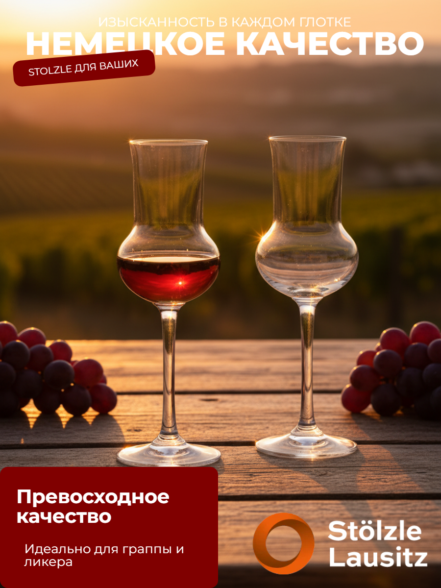 Два бокала для граппы/ликера Stolzle Professional 85мл (без подарочной упаковки)