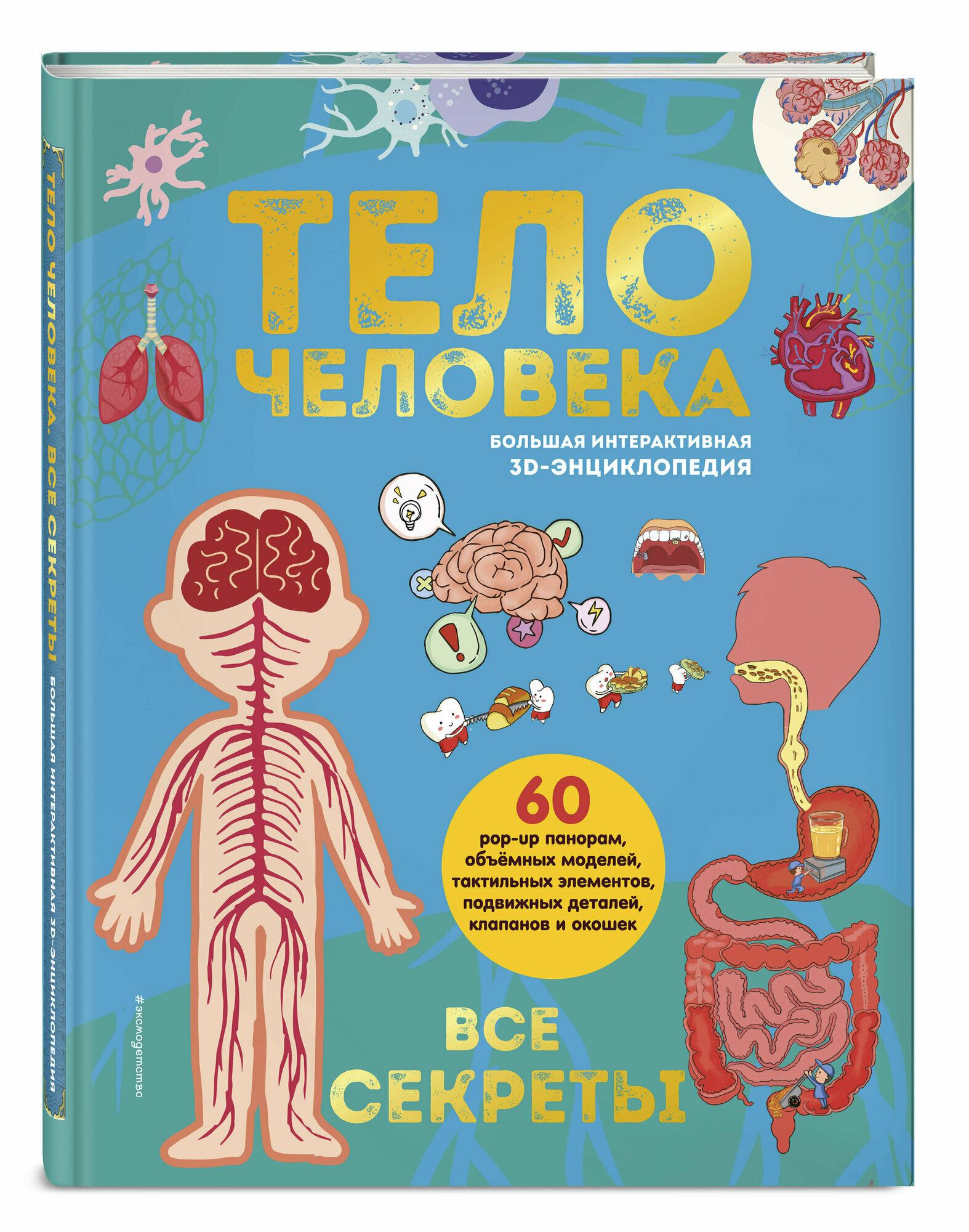Тело человека: Все секреты – Большая интерактивная 3D-энциклопедия