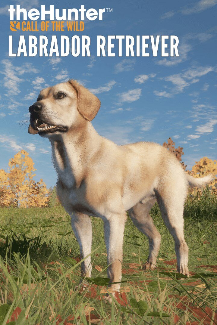TheHunter: Call of the Wild™ - Labrador Retriever - Windows 10 — Labrador Retriever Windows 10 (DLC) — ключ активации Xbox / Microsoft Store · Xbox One, Xbox Series X|S · цифровой ключ · любой регион