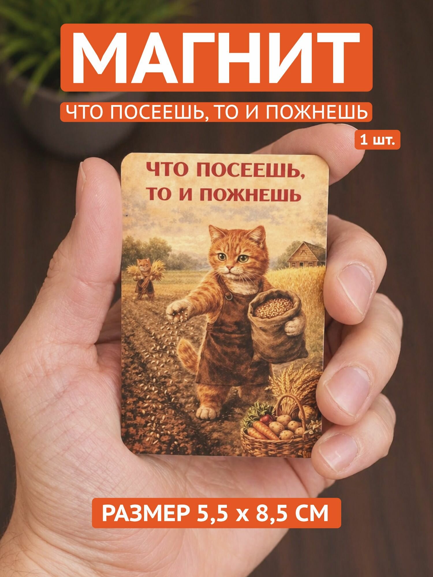 Магнит Что посеешь, то и пожнешь. 5,5 на 8,5 см. 1 шт. Магнитик на холодильник с котиком.