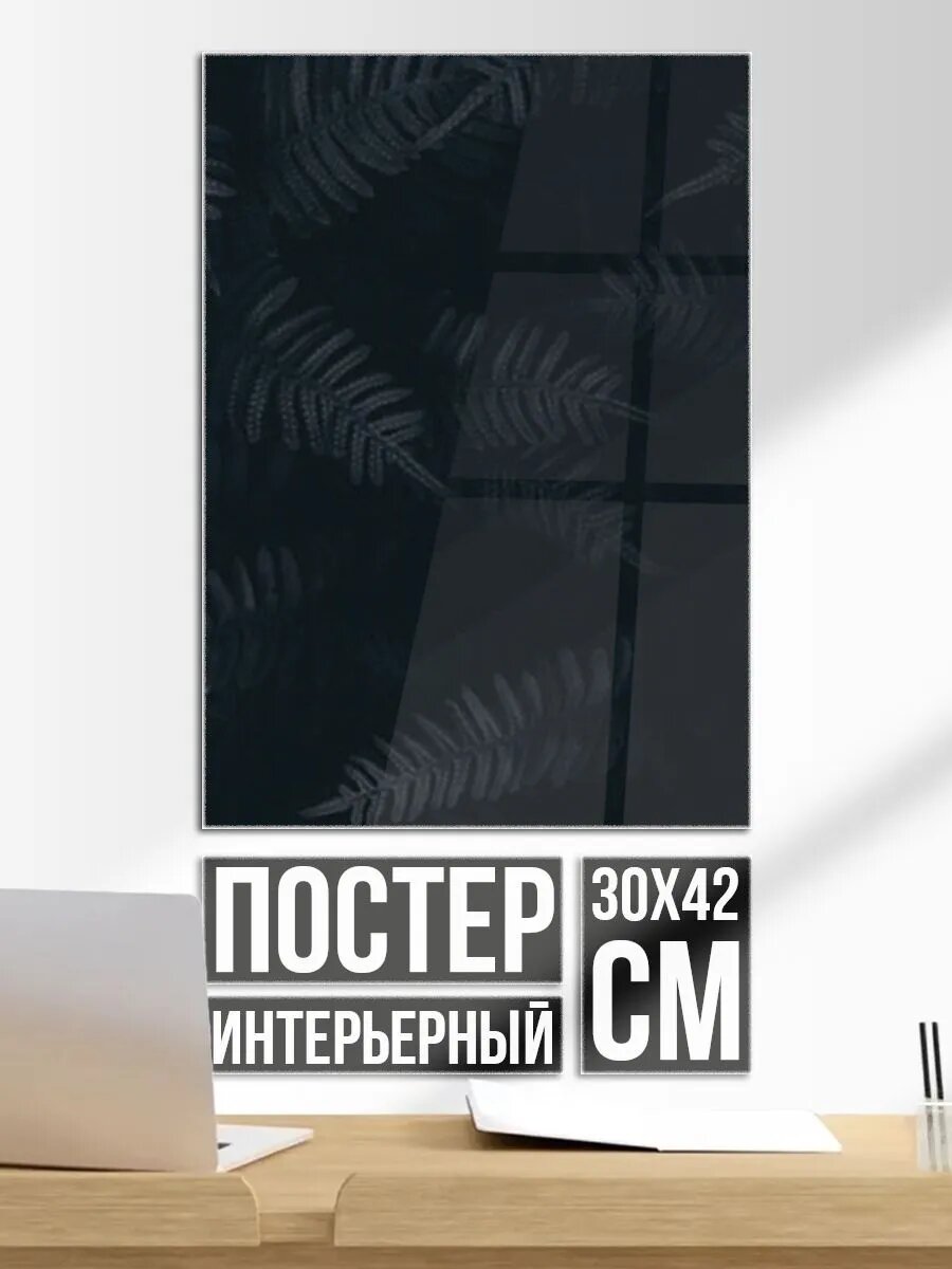 Постер на стену Влажный Папоротник