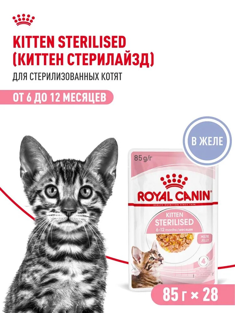 Влажный корм для стерилизованных котят Royal Canin Kitten Sterilised в желе 85 г х 28 шт