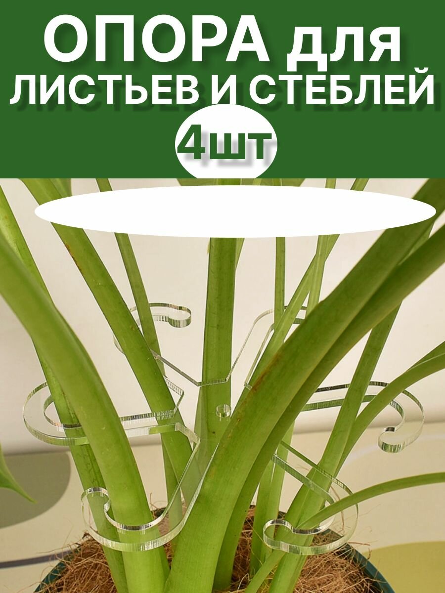 Опора для сбора стеблей, тотем для растений 4 штуки прозрачная опора для растений тотем для растений подставка для стеблей держатель для стеблей
