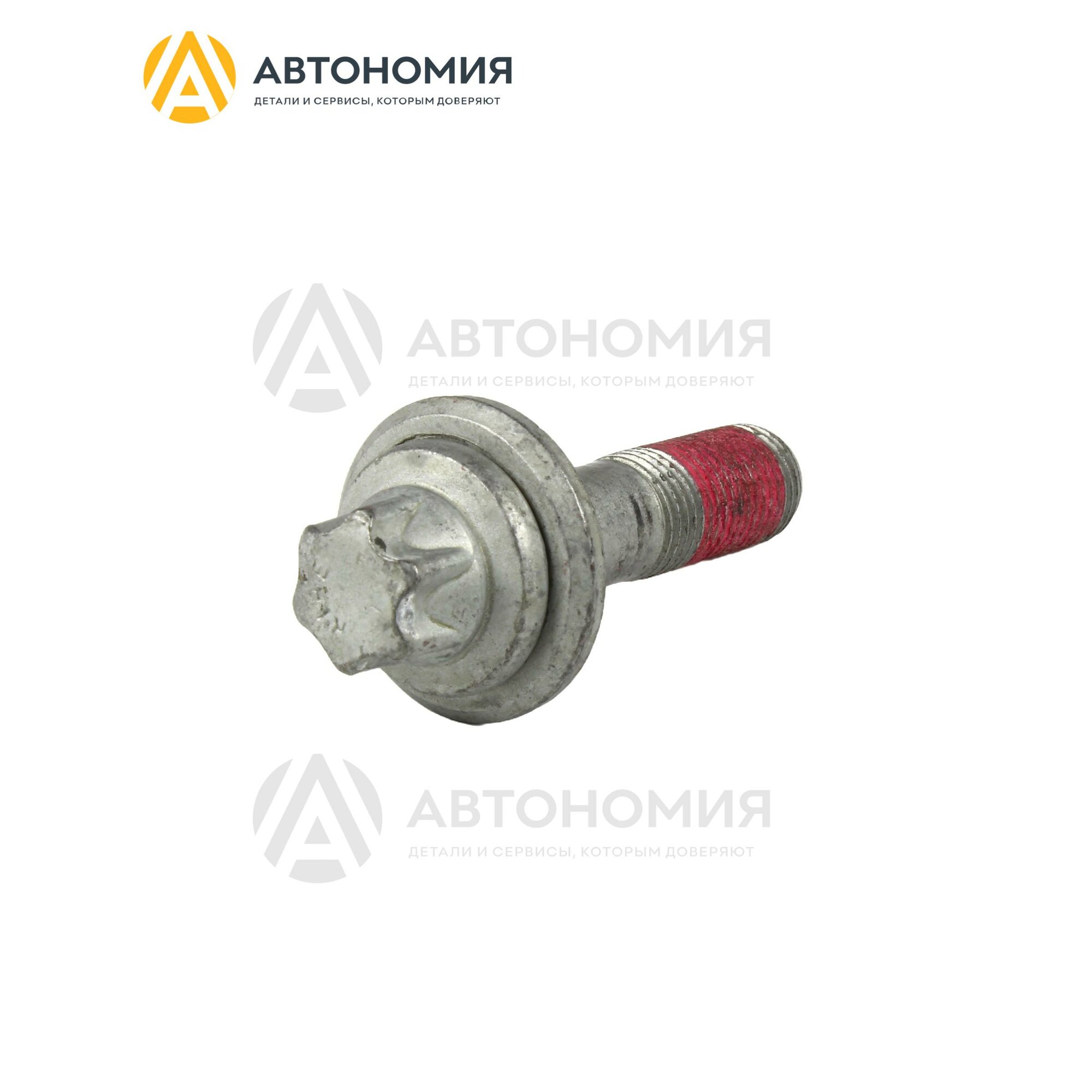 Болт с наружный Torx c шайбой BMW 33 40 6 795 332