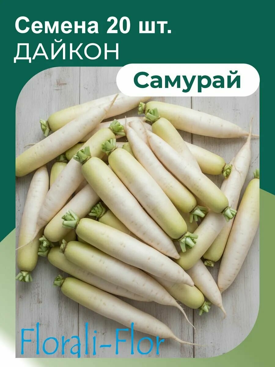 Семена Дайкона
