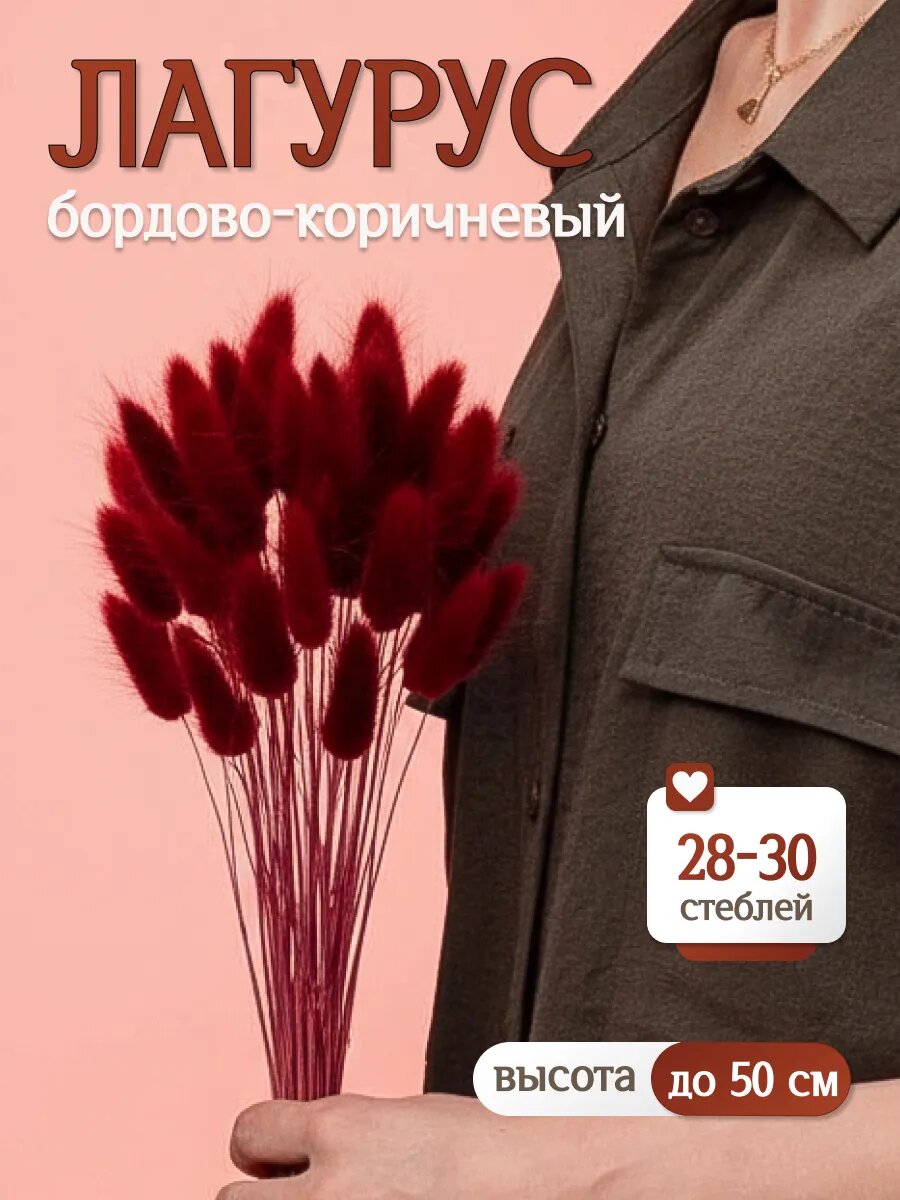 Лагурус бордово - коричневый 30 шт, сухие цветы для декора