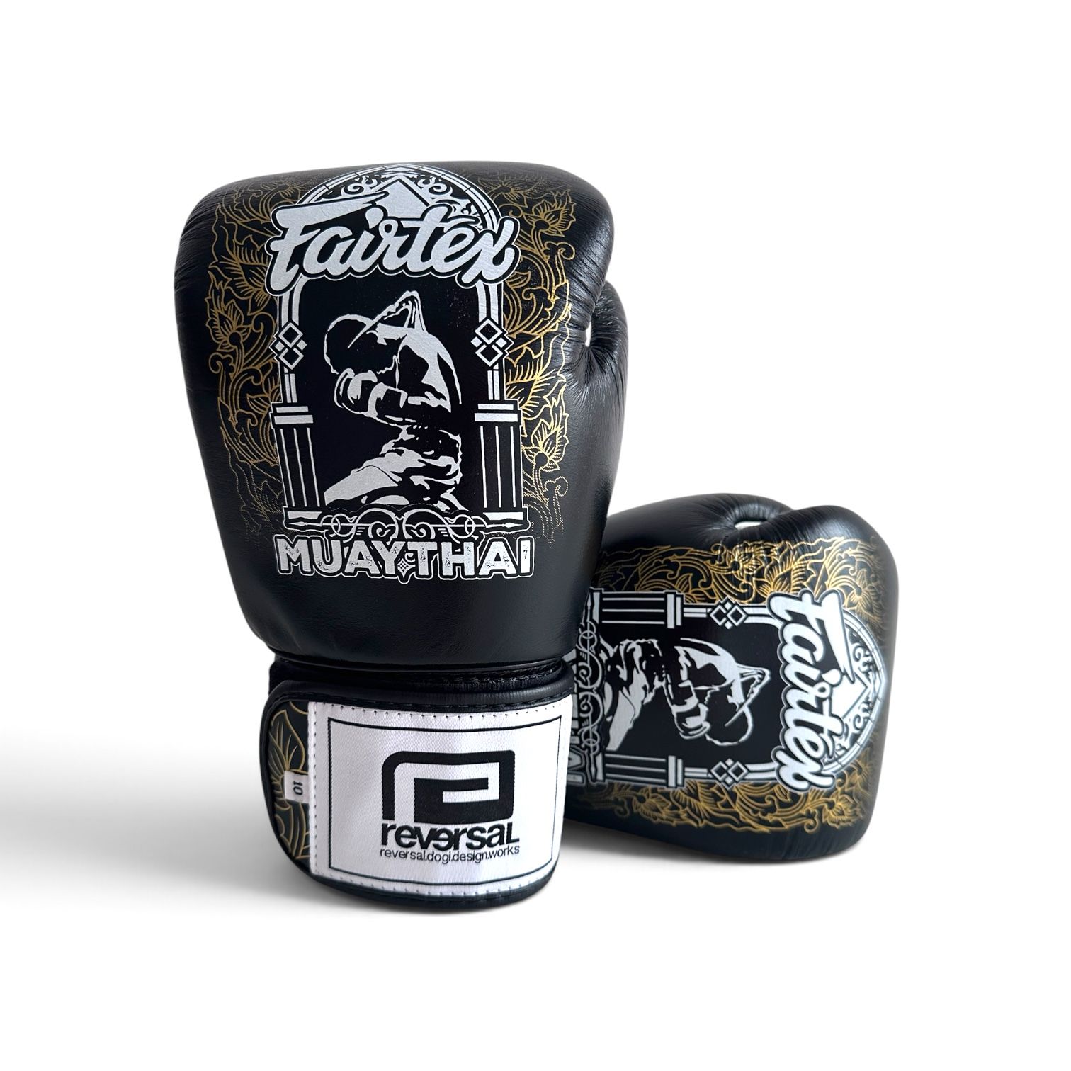 Боксерские перчатки Fairtex BGV premium Reversal 16oz