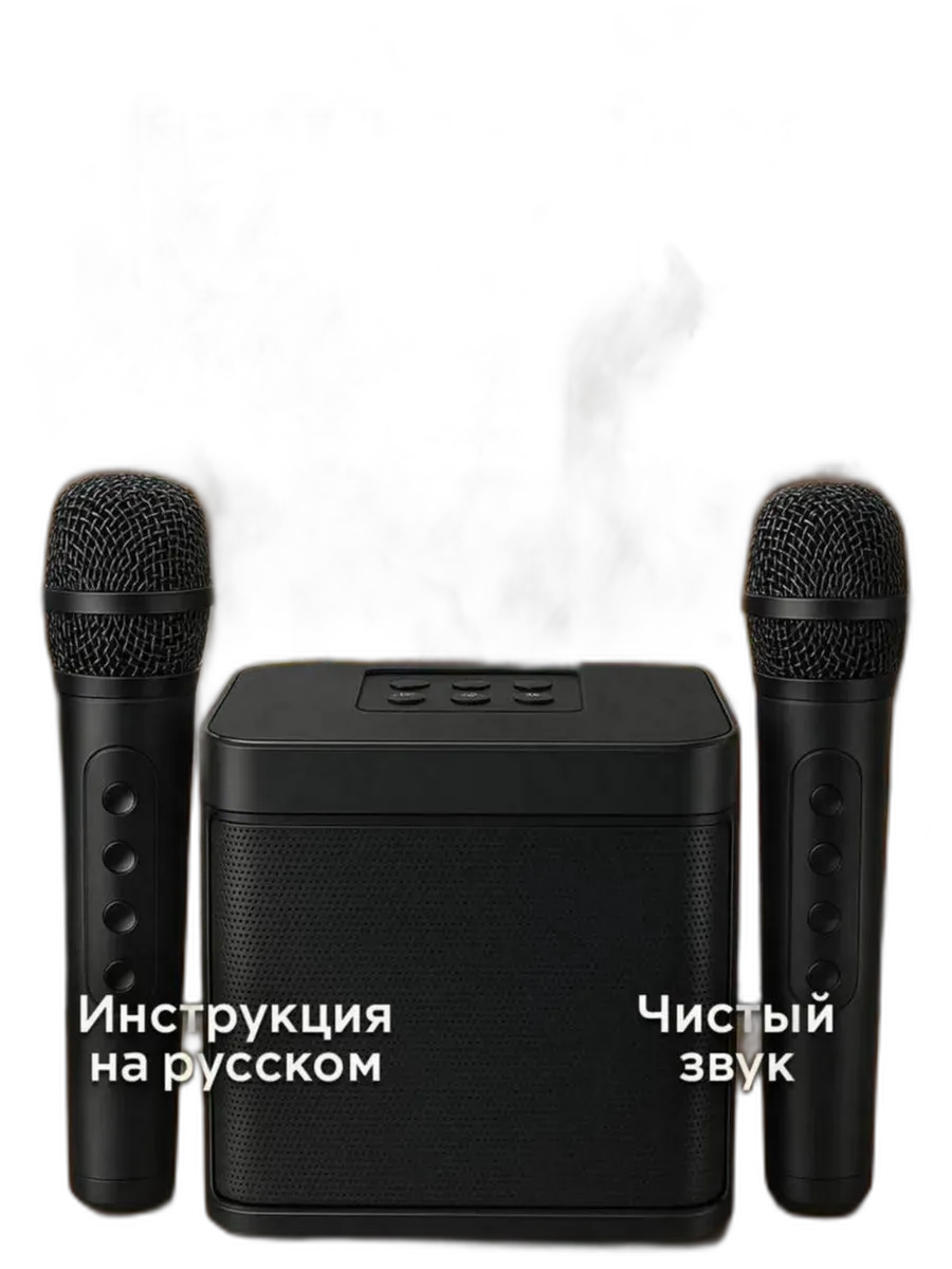 Караоке система с двумя микрофонами