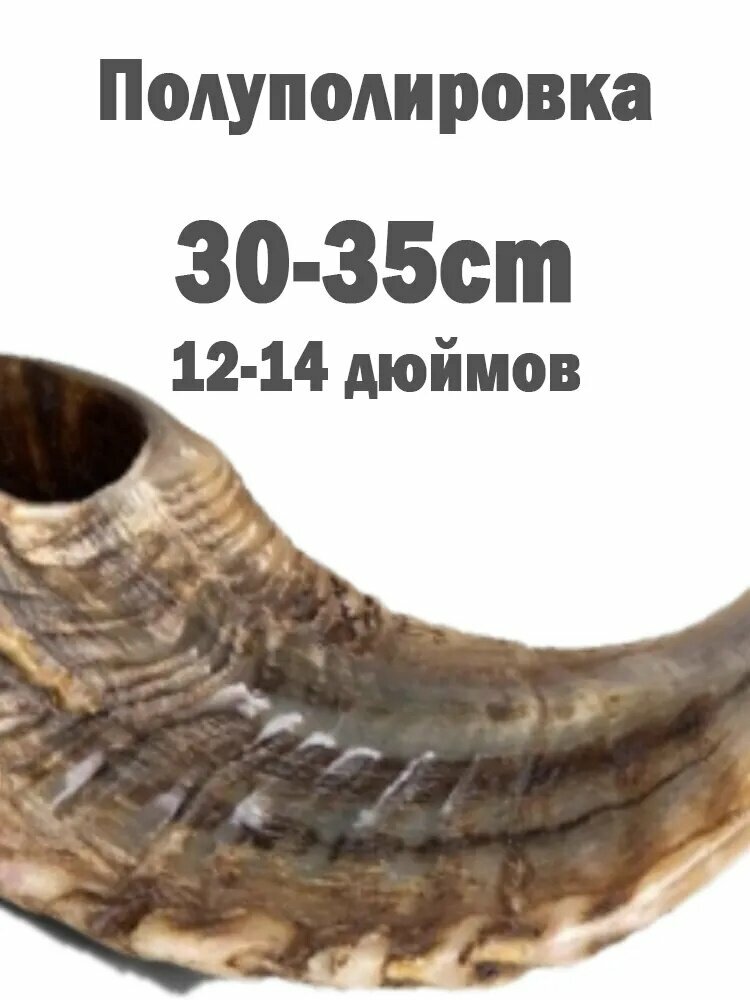 Шофар полуполировка 30-35 см (12-14") - натуральный рог грубый стиль
