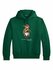 Худи Polo Ralph Lauren Polo Bear, размер 52, , green