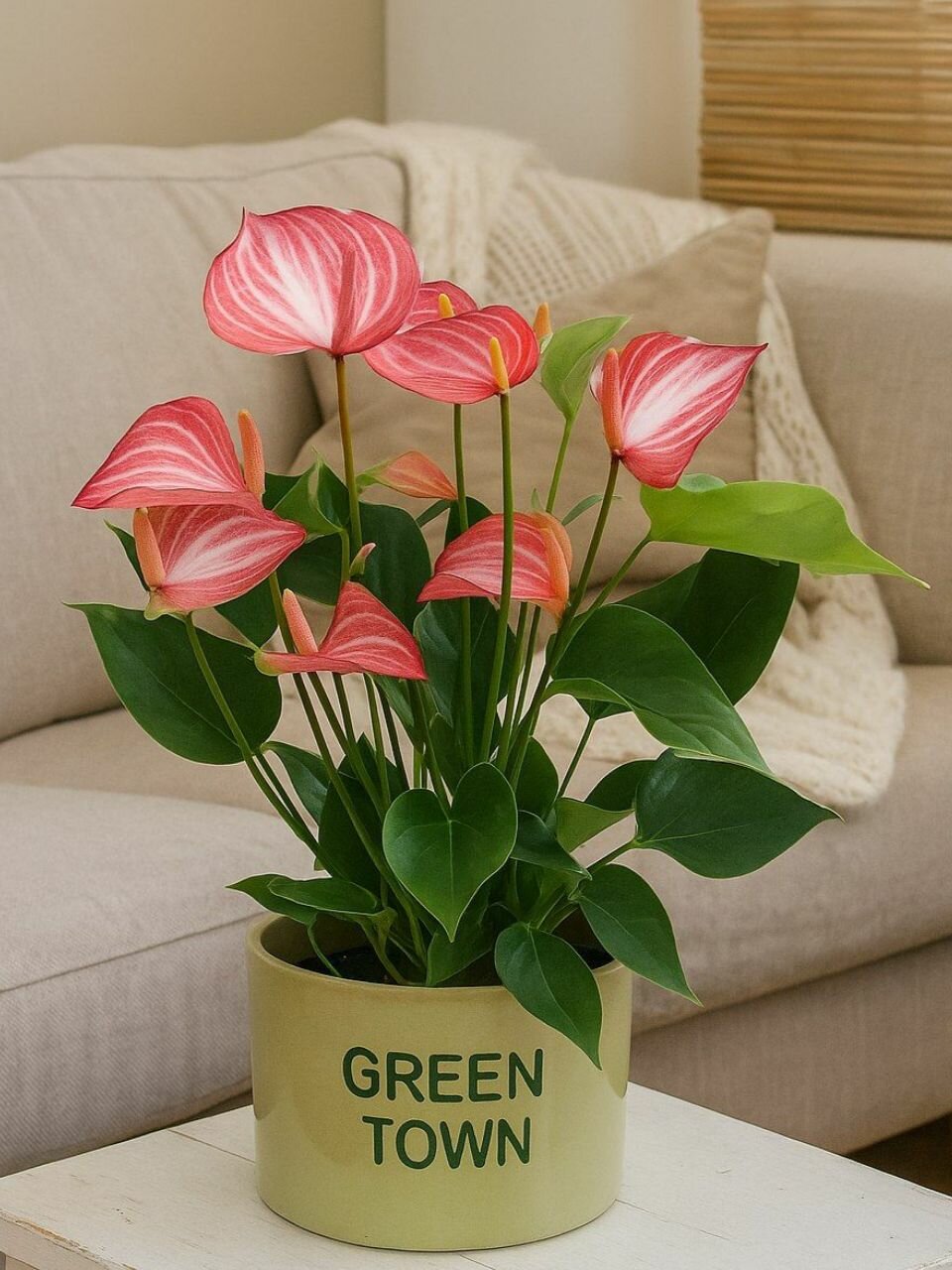 Антуриум GREEN TOWN "Мужское счастье", живое растение, 32 см, в горшке, пластик