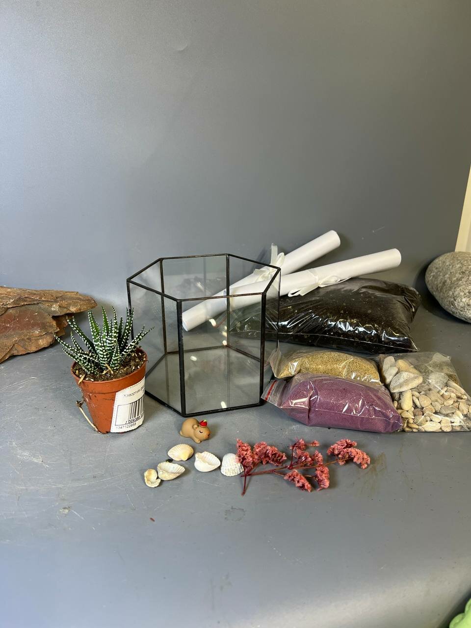 Набор для творчества флорариум с суккулентом и капибарами своими руками