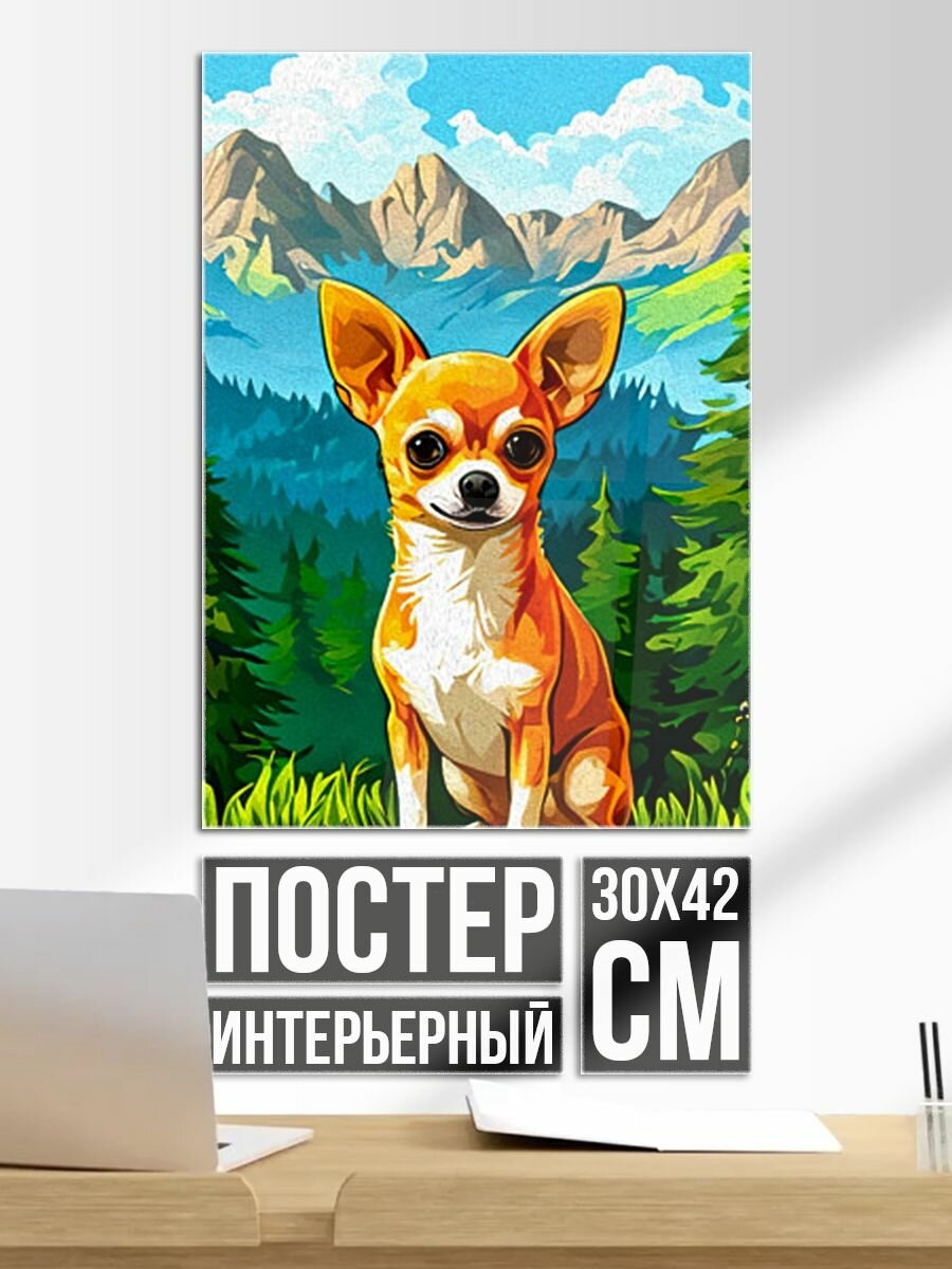 Постер на стену Чихуахуа летом в горах