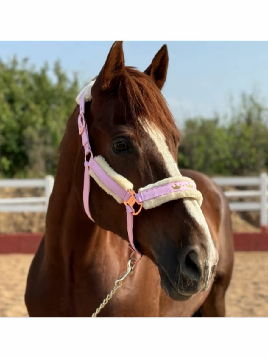 Уздечка для лошадей, Аксессуары для верховой езды, поводья, повод с шерстью, Розовый, L.