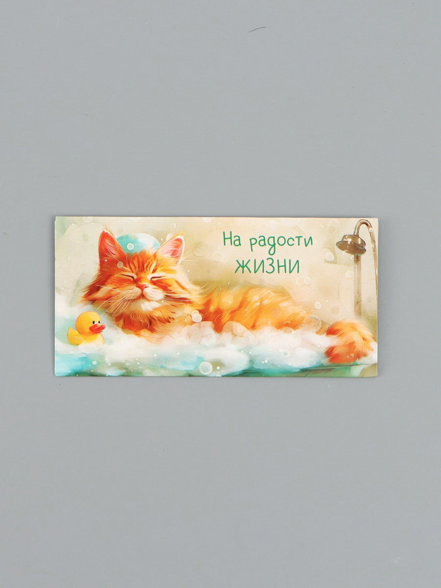 Конверт для денег "На радости жизни", котик в пене, 16.5 x 8 см, 10 шт.