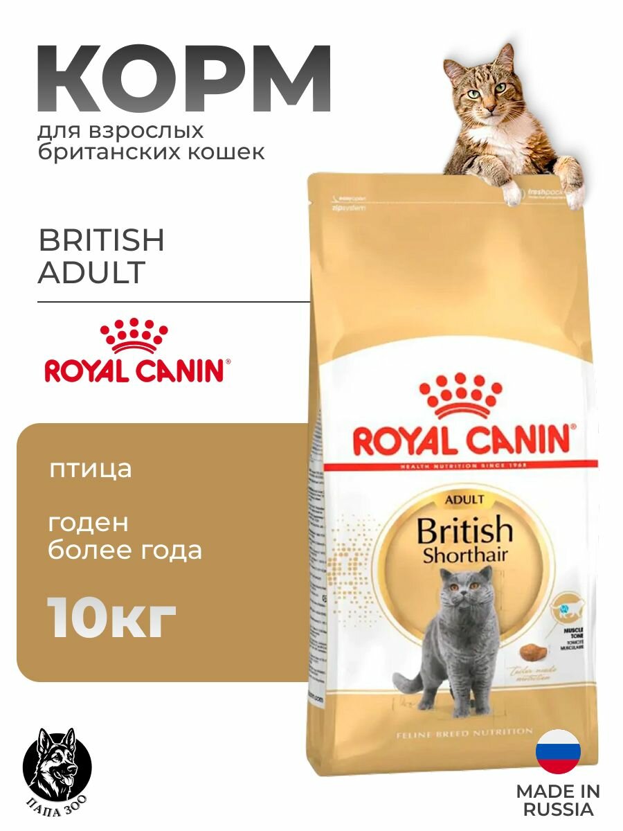 Royal Canin British Adult корм для Британских кошек 10 кг