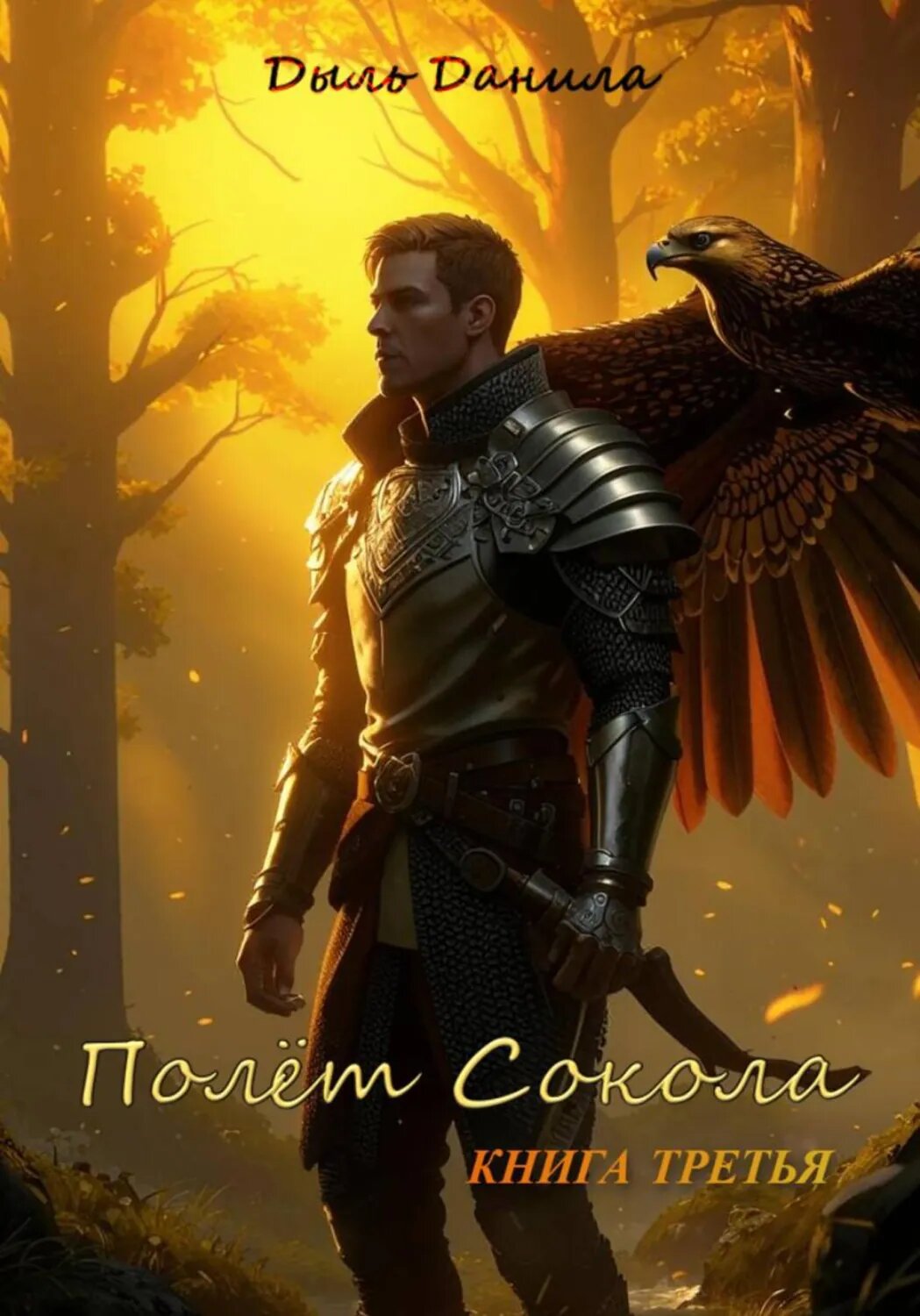 Полёт Сокола. Книга третья [Цифровая книга]